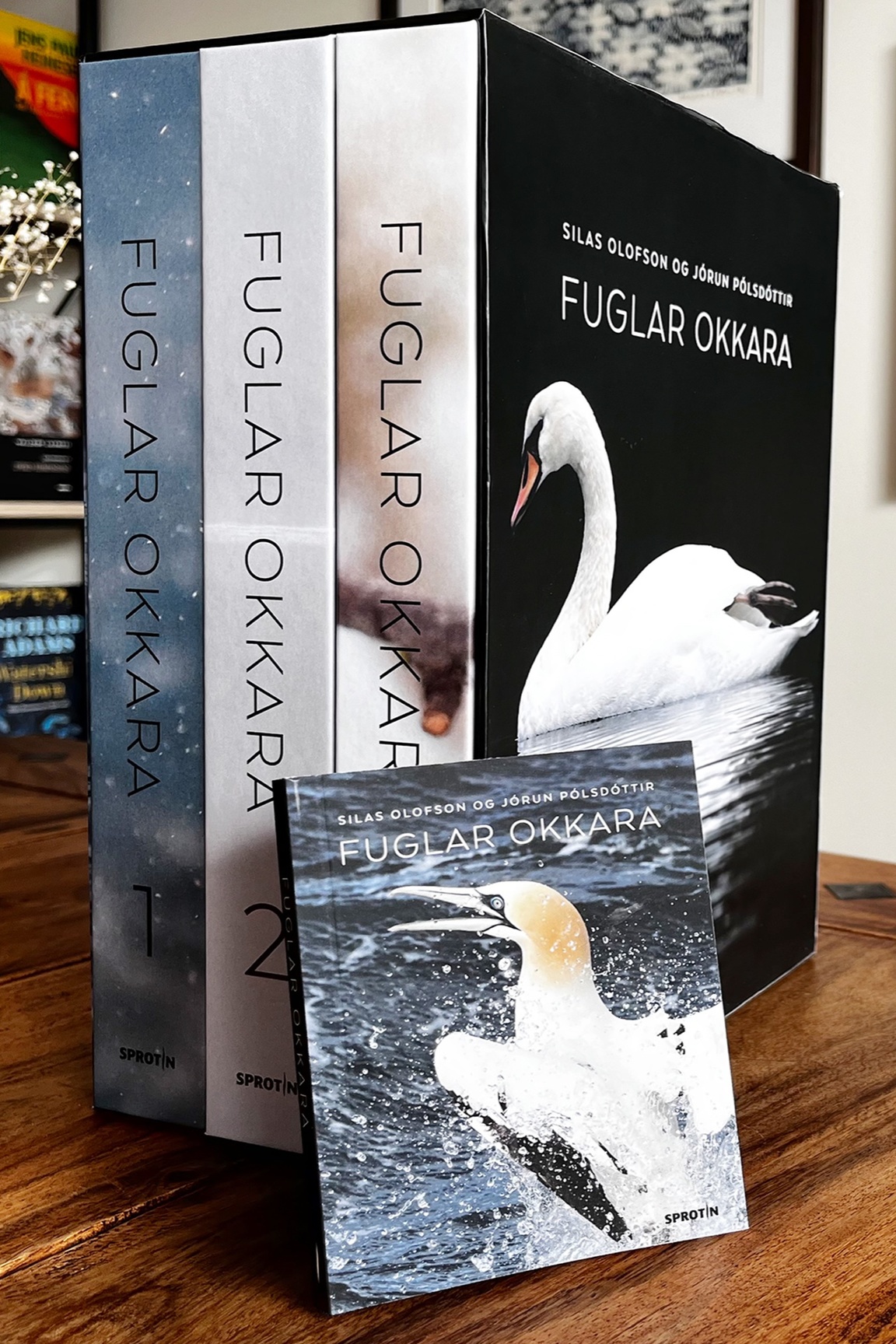 Fuglar okkara - H.N. Jacobsens Bókhandil